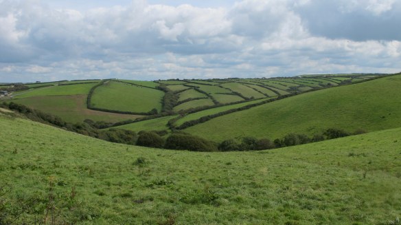 A quick history of English hedges | Notes from the U.K.