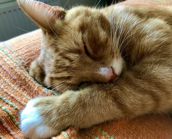 A quick history of the Chartist movement | Notes from the U.K.